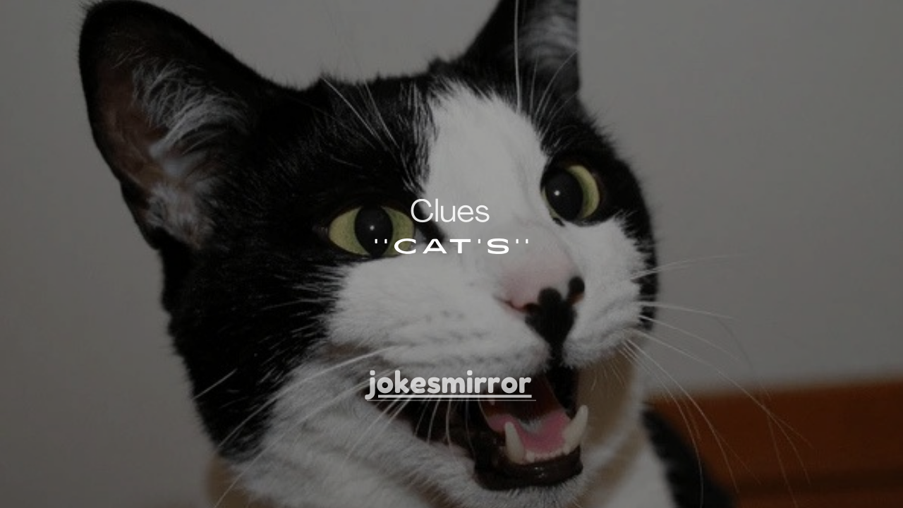 8 Vet-Backed Clues to Identify What a Cat’s Cough Sounds